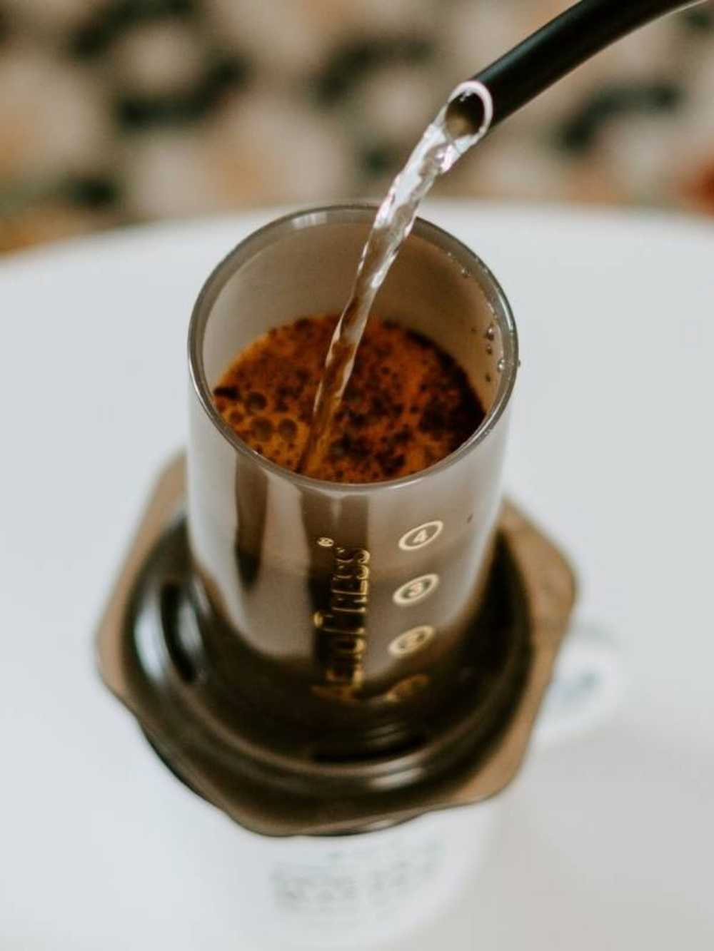 Bancroft Roasters Specialty Coffee - Freshly Roasted, High grade